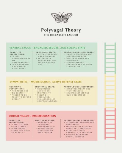 The Polyvagal Ladder - Emily Kennett